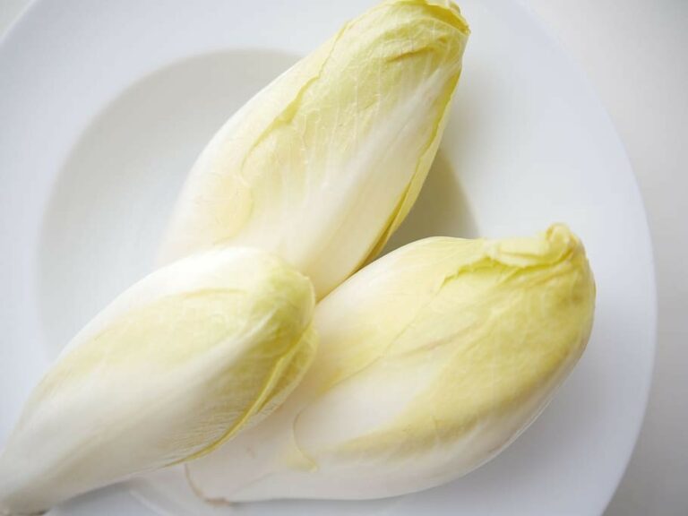 How To Grow Chicory and Harvest Chicory - A Step-by-Step Guide