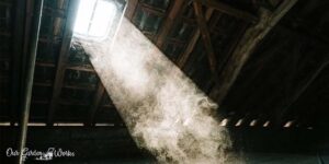 How to Place Loose-Fill Insulation By Hand - The Complete Guide