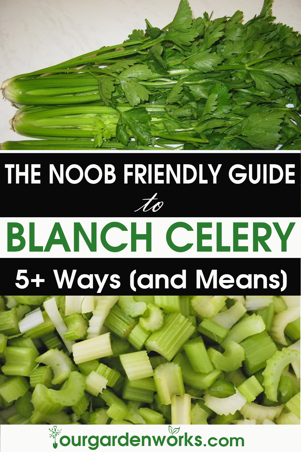 The Noob Friendly Guide To Blanch Celery: 5+ Ways