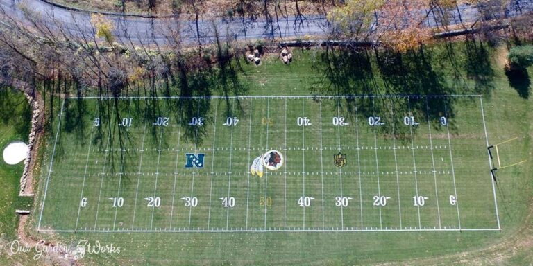 How To Build A Backyard Football Field? - A Step-by-Step Guide