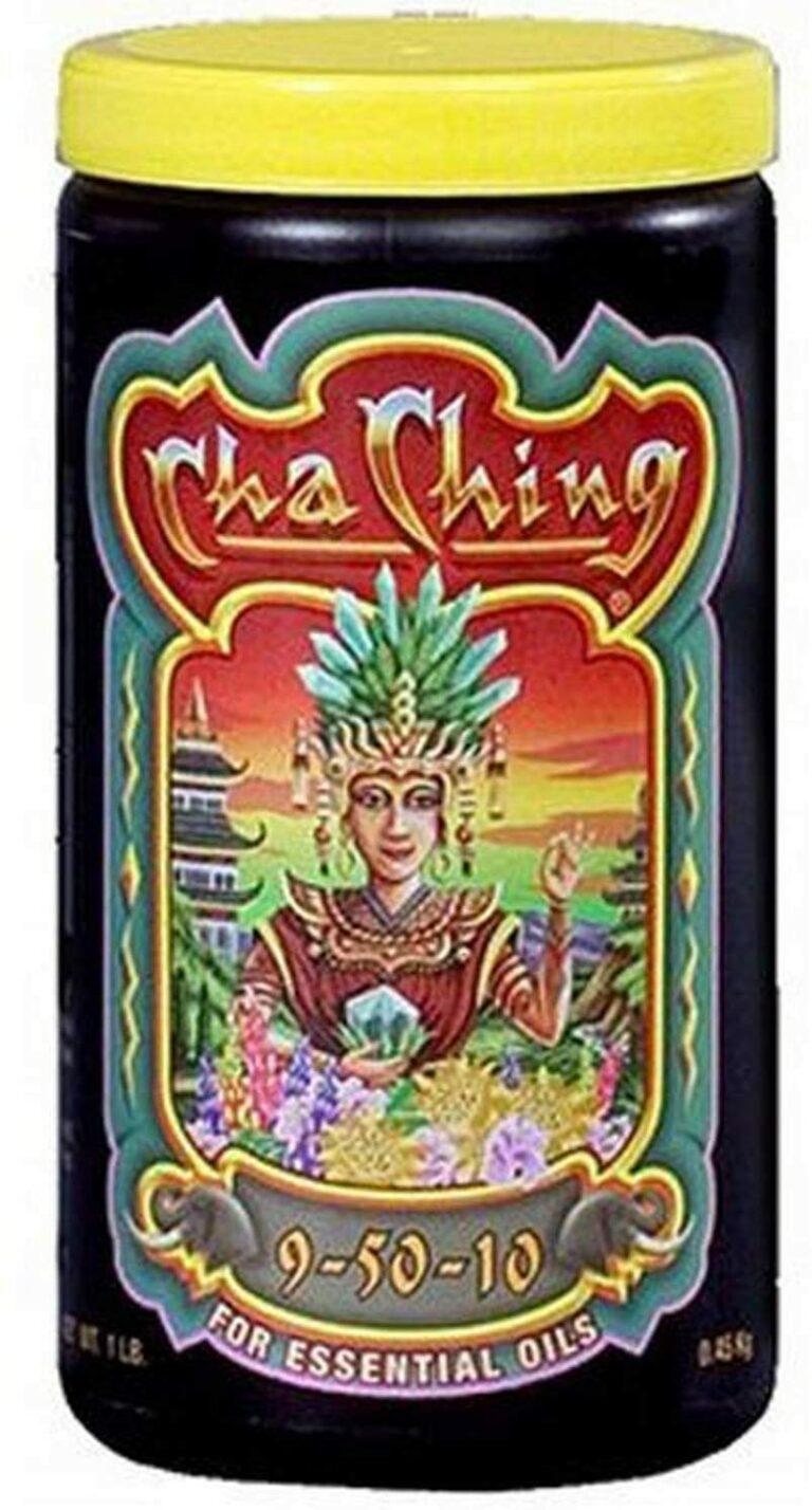 10 Best Plumeria Fertilizer in 2023 - Reviews & Top Picks