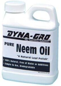 10 Best Neem Oil For Your Plants in 2023 (Top Picks & Reviews)