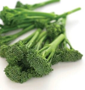 Growing Broccolini From Seed: A Step-By-Step Guide