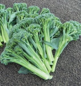 Growing Broccolini From Seed: A Step-By-Step Guide