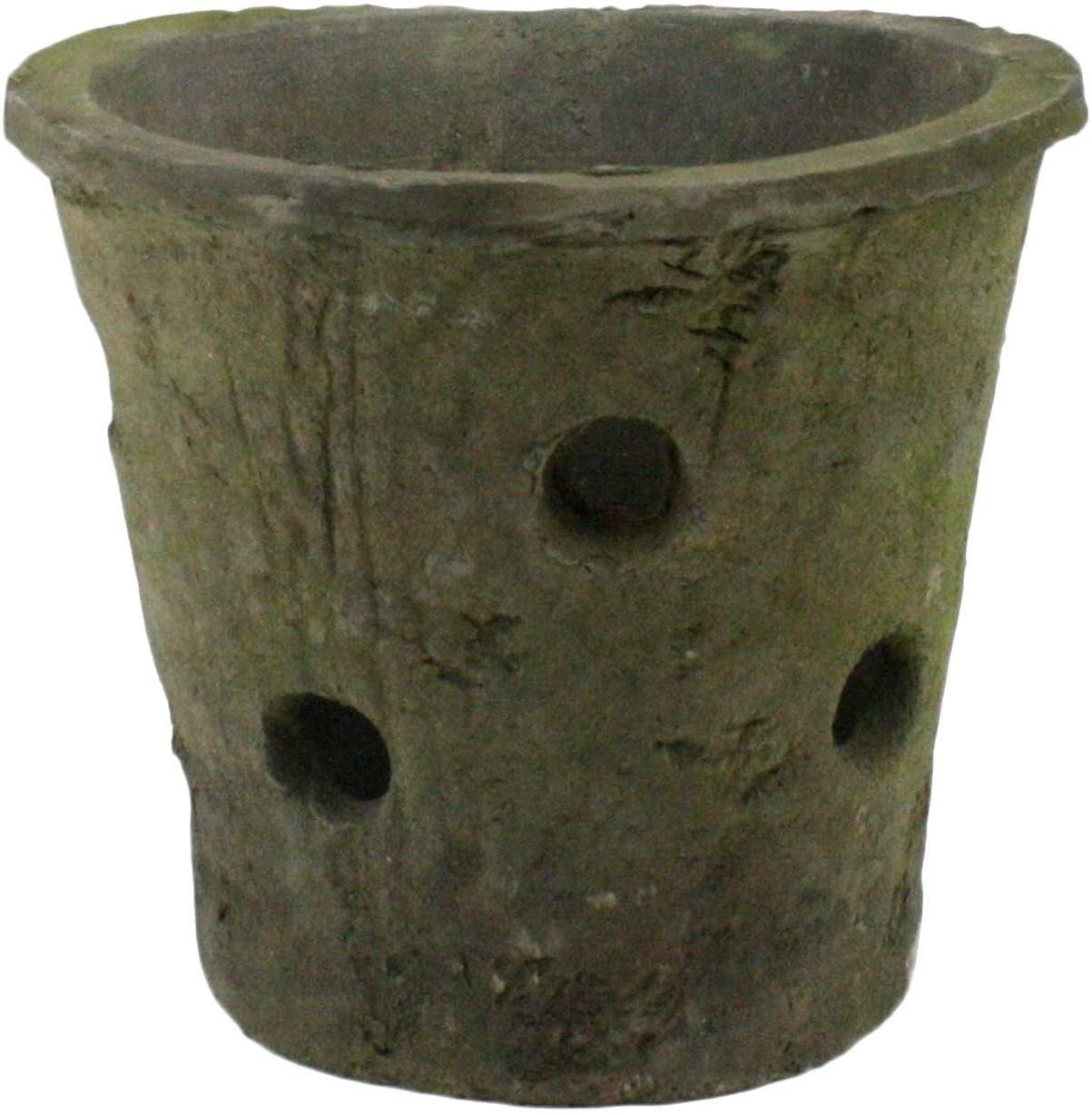 15 Best Orchid Pots & Planters (2025 Reviews & Guide)