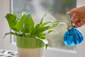 12 Best Plant Atomizer For Spraying Plants In 2023
