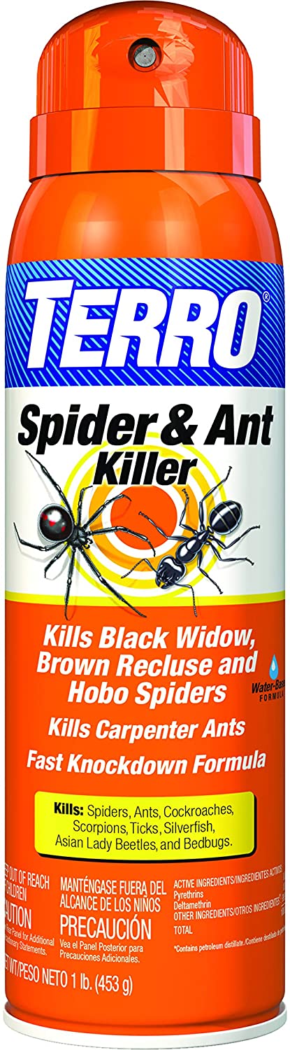 Top 9 Best Pesticides for Wolf Spiders That Actually Work (2026)