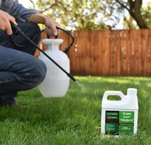 How To Improve Clay Soil For Lawns and Yards