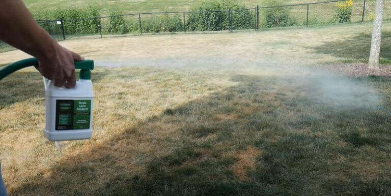 How To Improve Clay Soil For Lawns and Yards