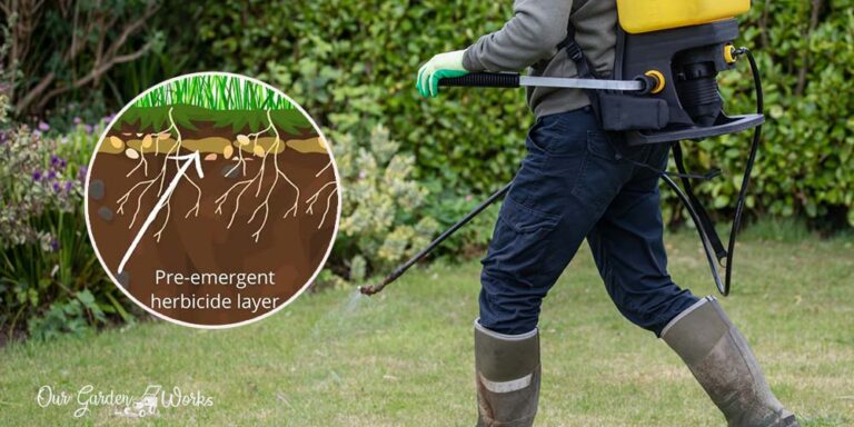Herbicide 101: Can You Apply Pre-Emergent In The Rain?