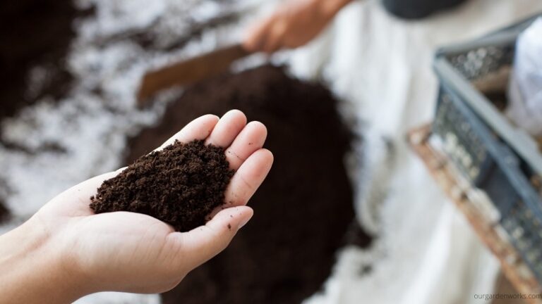 Lawn Care Tips: Can You Cover New Grass Seed With Straw?