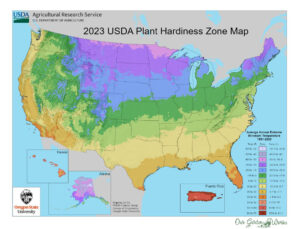 USDA Hardiness Zone Finder - Find Your Zone by ZIP Code