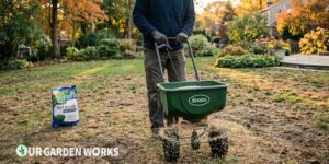 Lawn Overseeding Calculator - How Much Grass Seed and Fertilizer You Need